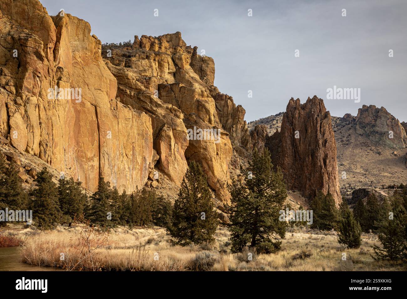OR02881-00...OREGON - Open meadows along the Crooked River below the ...