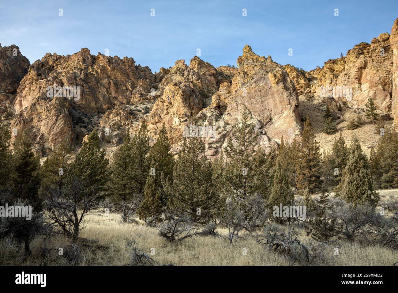 OR02888-00...OREGON - Cliff faces make excelent and challenging ...