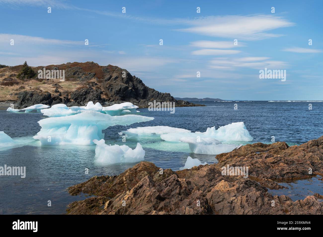Icebergs and pack ice in Twillingate, Newfoundland and Labrador, Canada ...