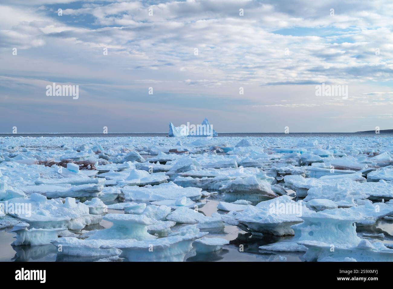 Iceberg and pack ice in Strait of Belle Isle, south coast of Labrador ...