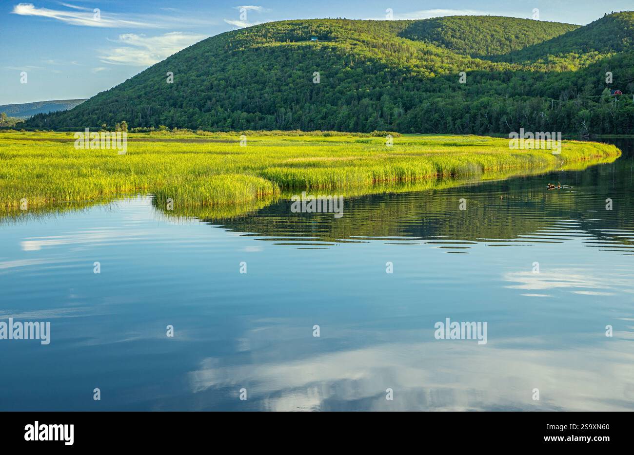 Canada, Nova Scotia, Cape Breton. Margaree river Stock Photo - Alamy