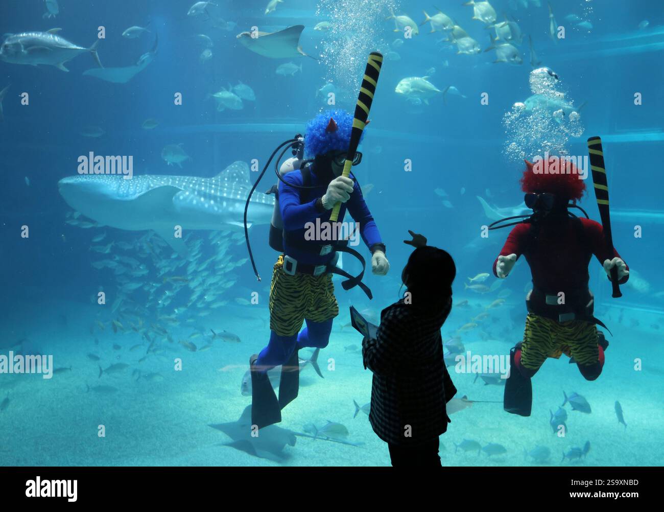 Divers wearing devil costumes welcome visitors in a giant fish tank at ...