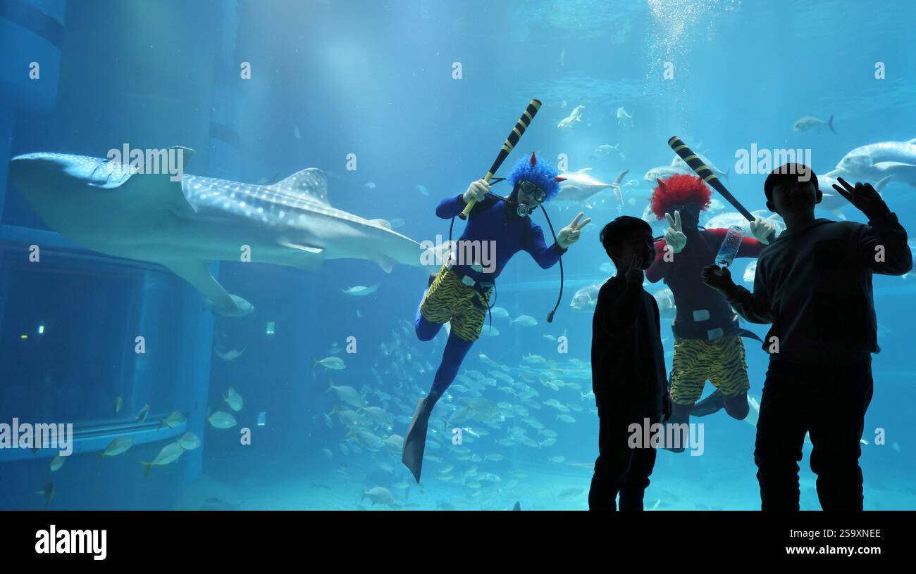 Divers wearing devil costumes welcome visitors in a giant fish tank at ...