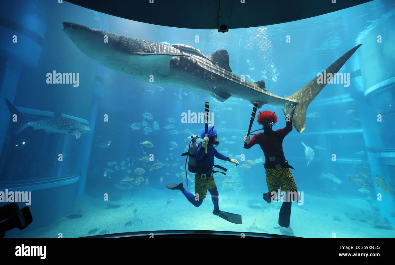 Divers wearing devil costumes welcome visitors in a giant fish tank at ...