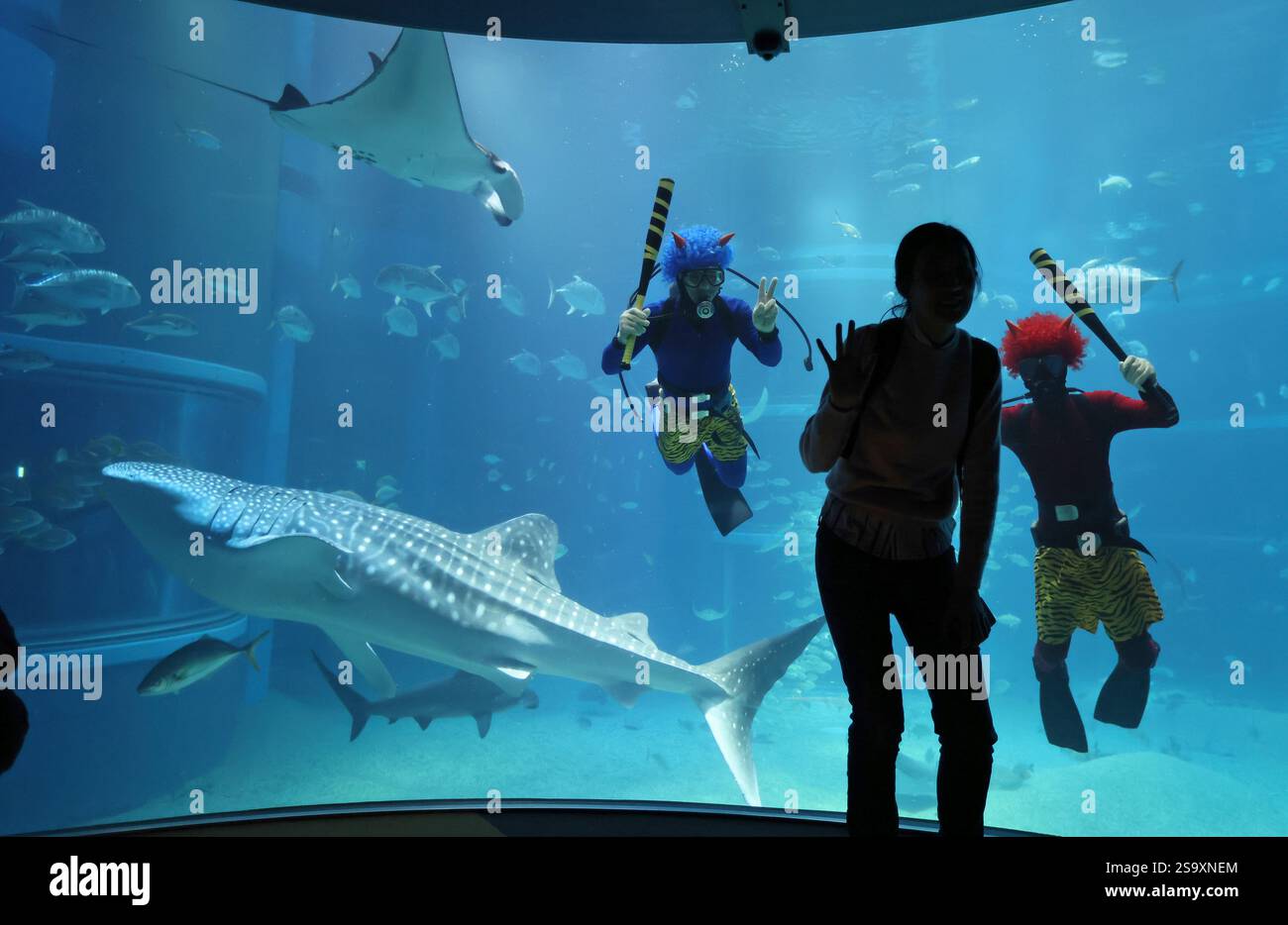 Divers wearing devil costumes welcome visitors in a giant fish tank at ...