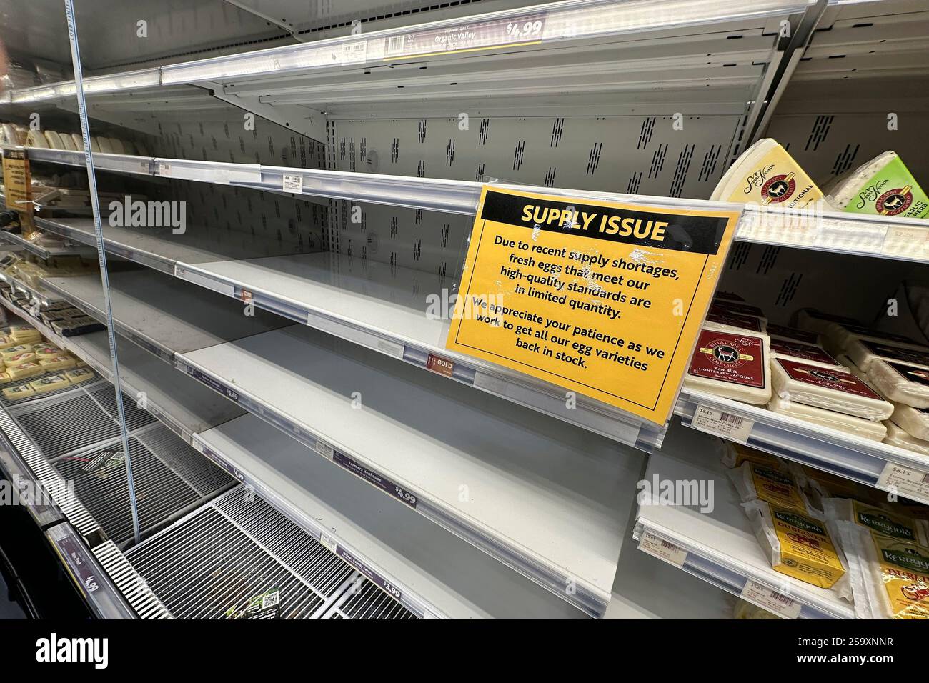 A sign hangs on an empty shelf in an empty, refrigerated case used to ...