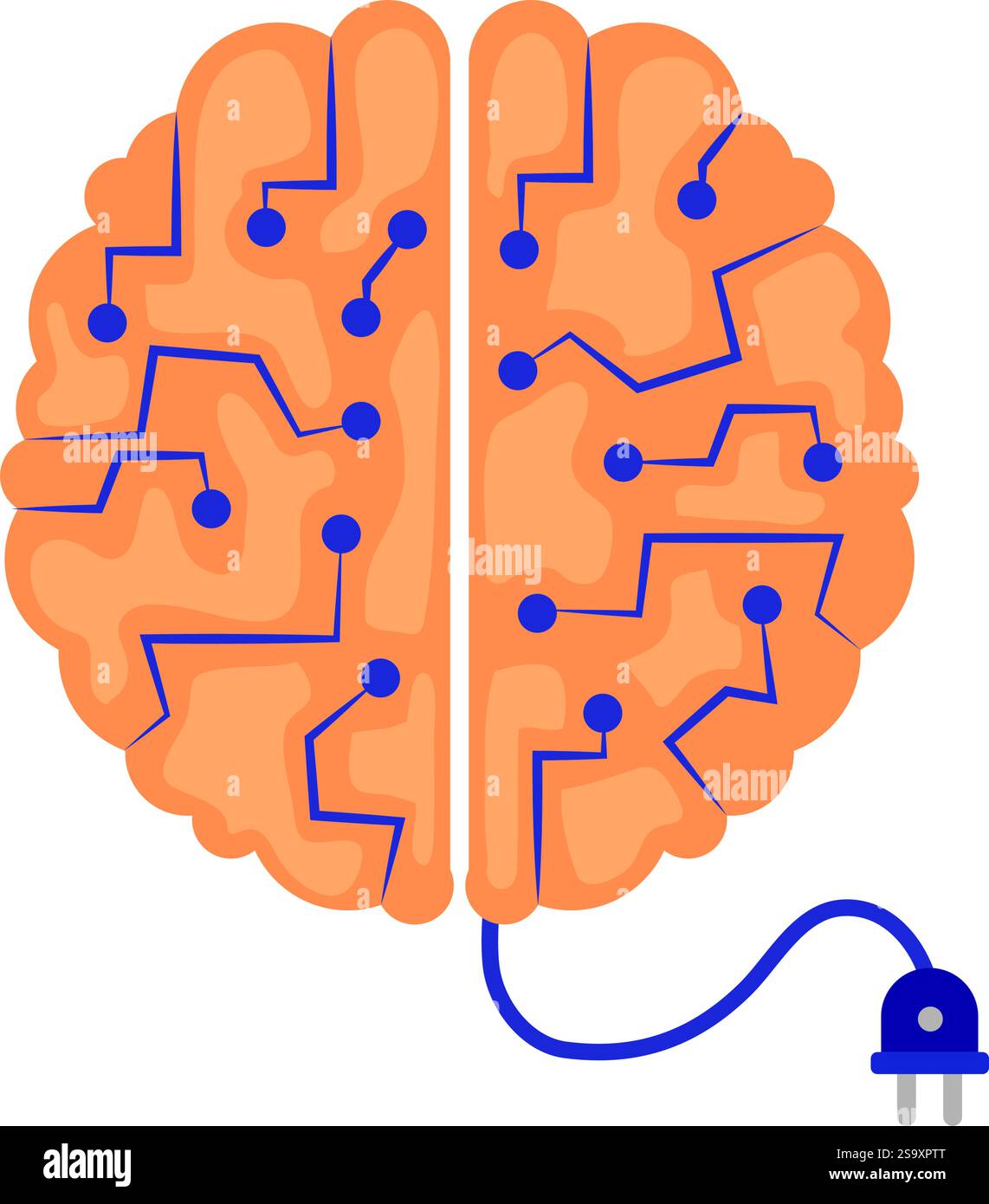 Brain with neural pathways illustration Stock Vector Image & Art - Alamy