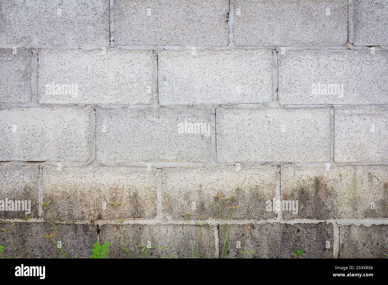 old concrete block wall background texture Stock Photo - Alamy