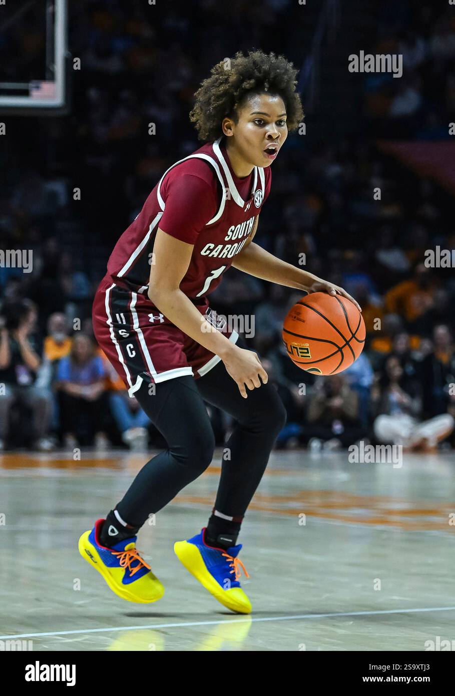 KNOXVILLE, TN - JANUARY 27: South Carolina Gamecocks guard Maddy ...
