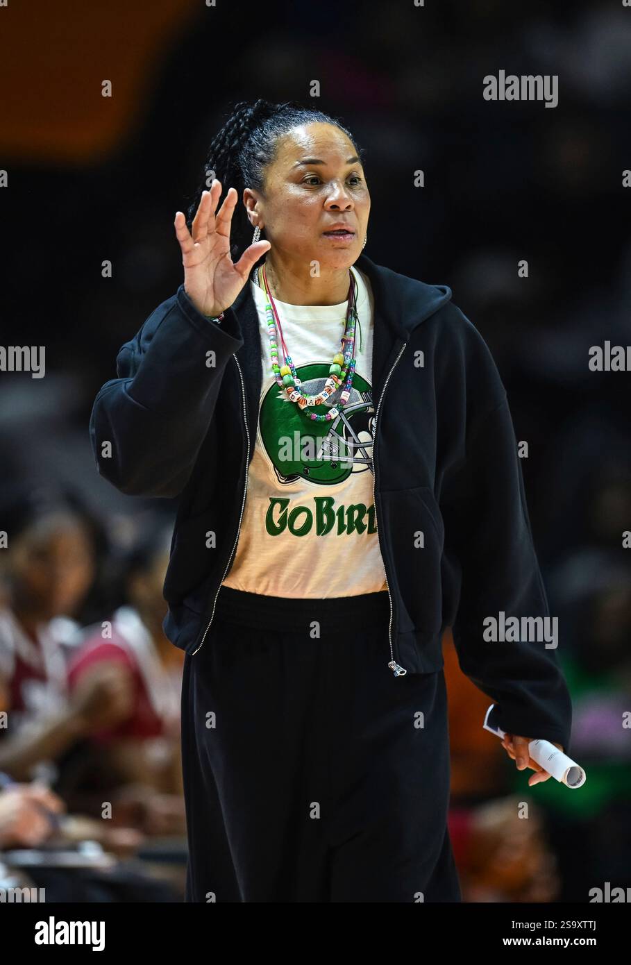 KNOXVILLE, TN - JANUARY 27: South Carolina Gamecocks head coach Dawn ...