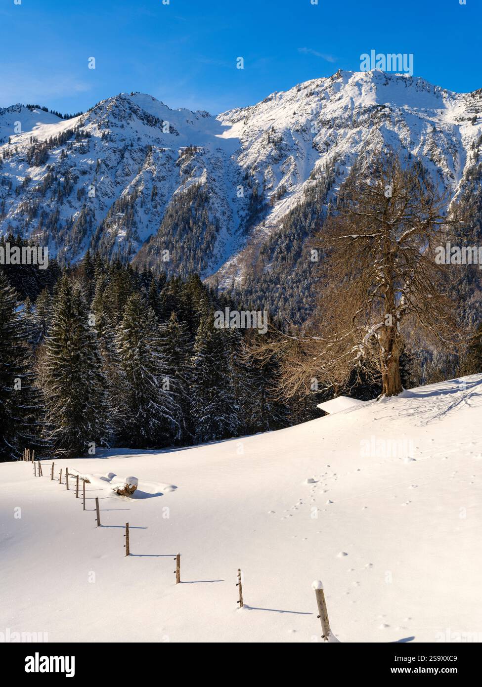 Valley of river Trettach. The Allgau Alps near Oberstdorf during winter ...