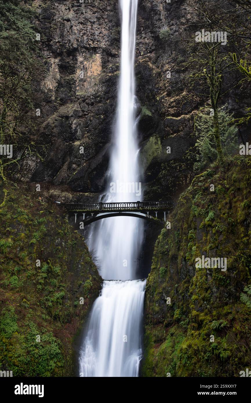 OR02920-00...OREGON - Multnomah Falls in the Columbia River Gorge Stock ...