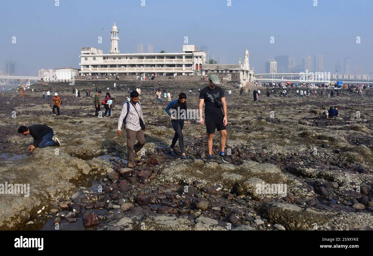 MUMBAI, INDIA - JANUARY 27: Participants of Intertidal bioblitz at ...