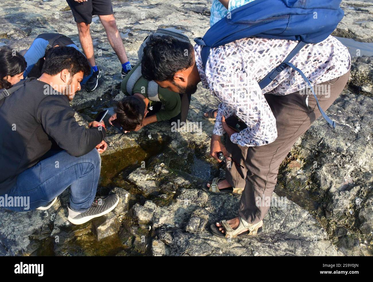 MUMBAI, INDIA - JANUARY 27: Participants of Intertidal bioblitz at ...