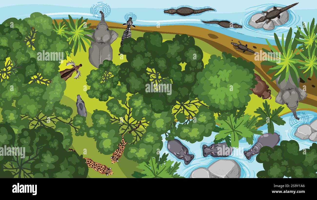 Tropical rainforest animals aerial hi-res stock photography and images ...