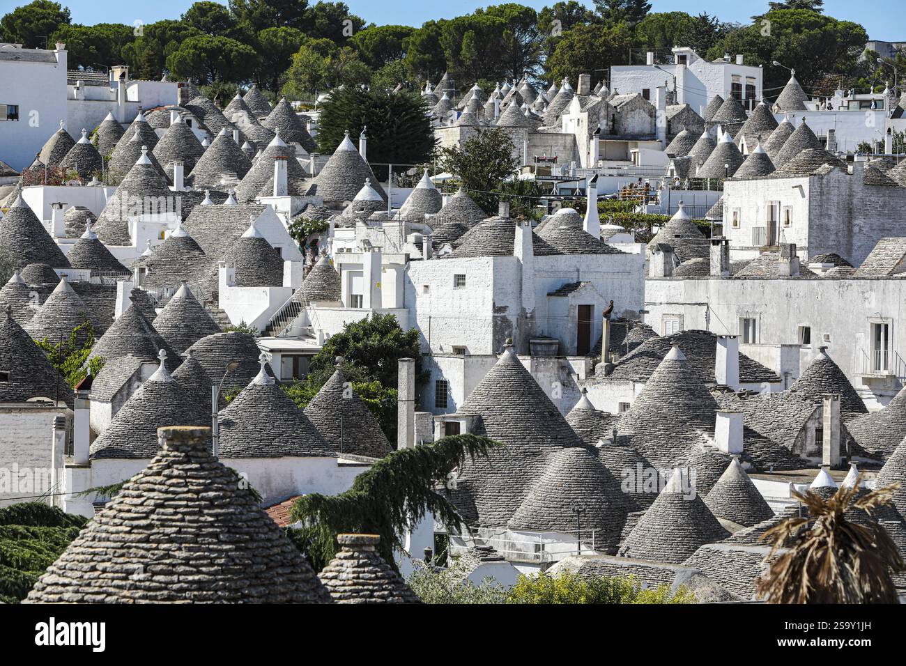 Alberobello, Puglia, Italy. Rows of Trulli whitewashed houses and cone ...