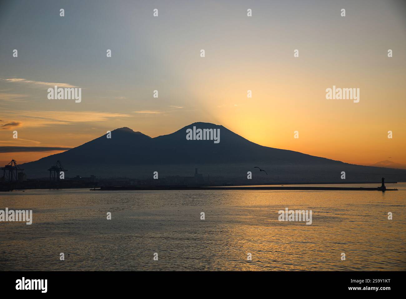 Naples, Italy. Mount Vesuvius at a golden sunrise with a seagull over ...