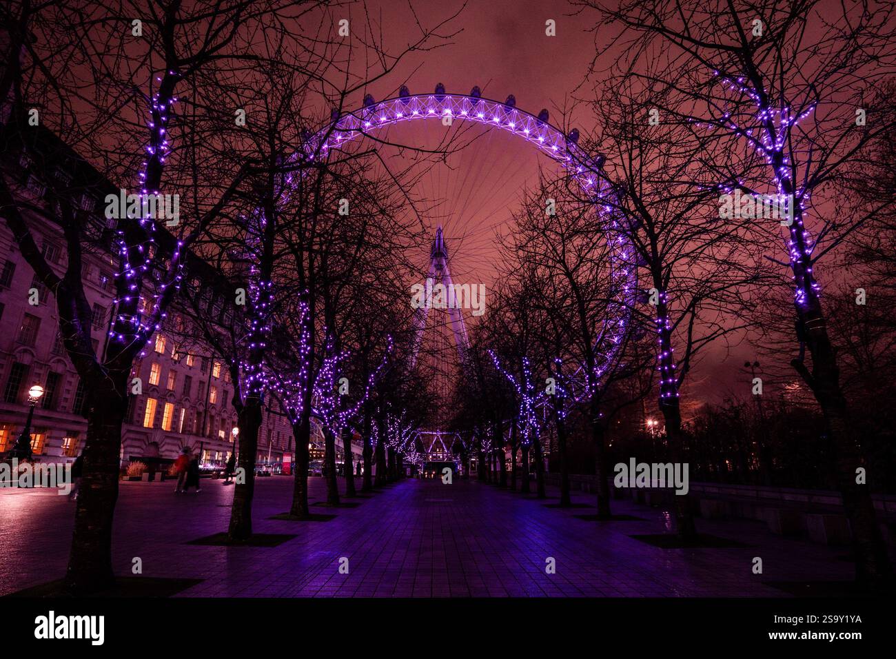 London, UK. 27th Jan, 2025. The London Eye on the River Thames, lit up ...