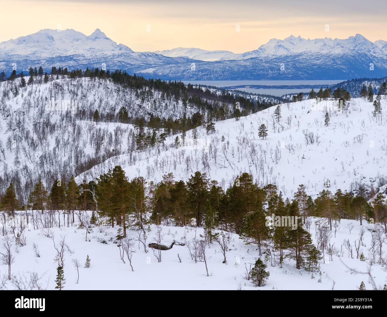 View over Anderdalen National Park towards Solbergfjorden. The Senja ...
