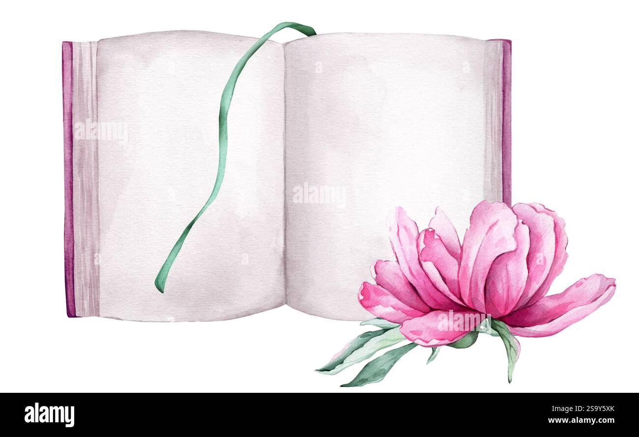 Watercolor illustration book with flower pink peony isolated on white ...