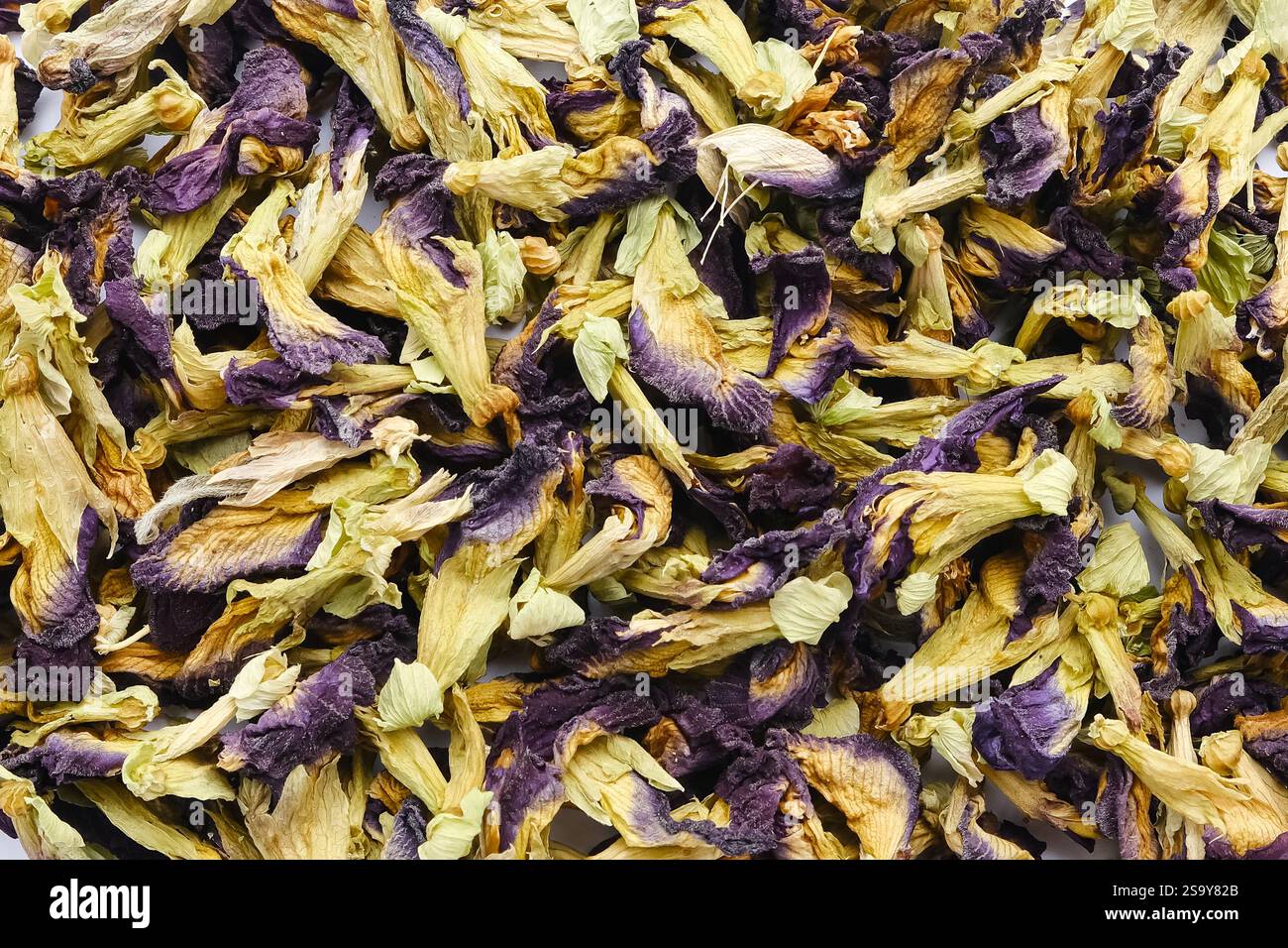 Dried Blue Butterfly Pea flower or Clitoria ternatea for herbal tea ...