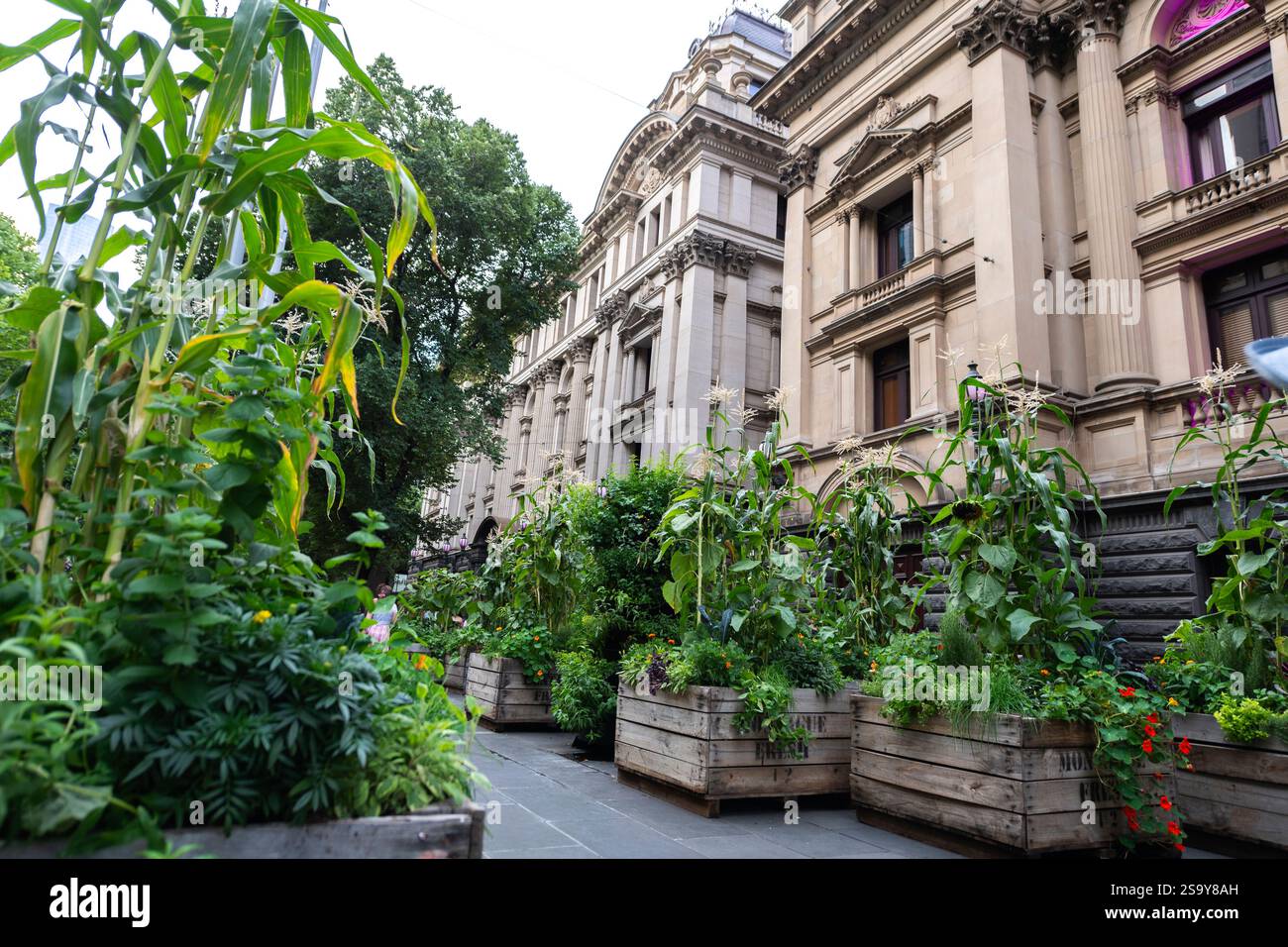 Urban farming, urban agriculture, food planters, food, vegetables, cost ...