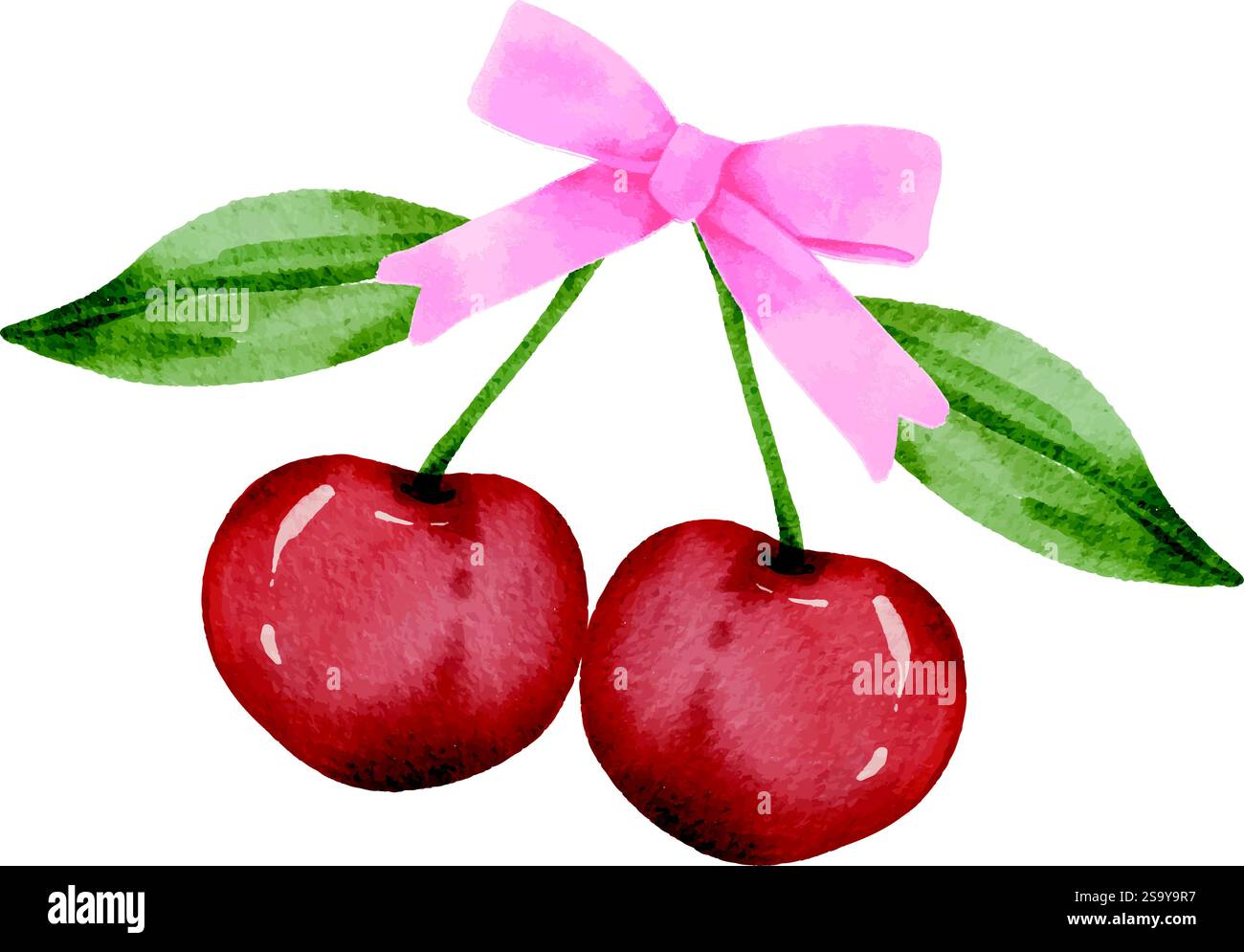 Watercolor Cherry bow vector, Vector watercolor cherries with a red bow ...