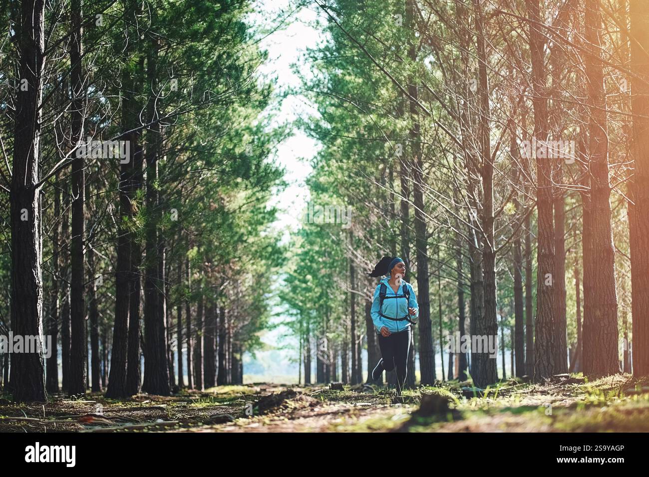 Trees, running and woman in woods with fitness, wellness and challenge ...