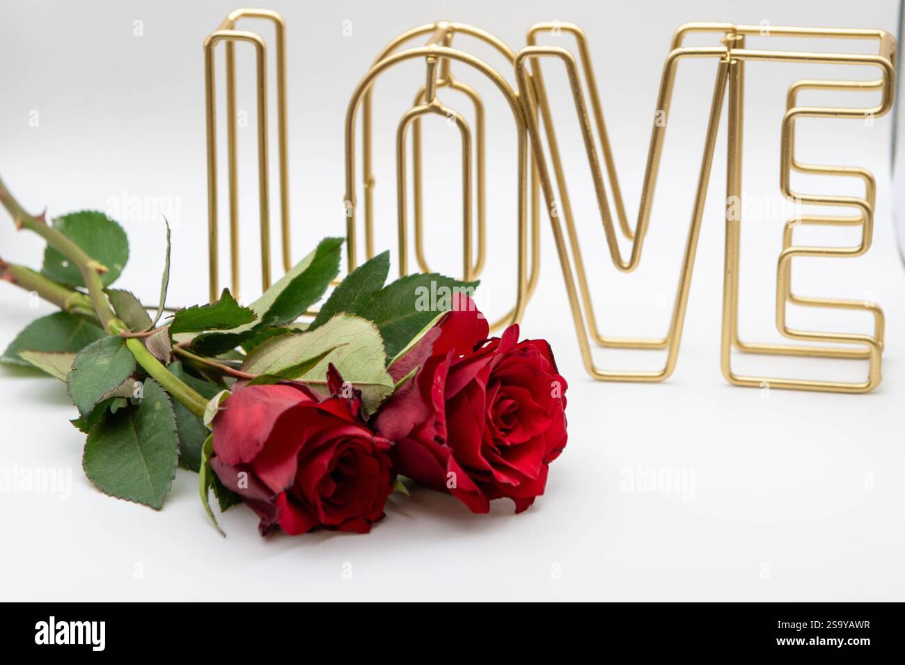 Valentinstag - 14. Februar Zwei Rosen und Love-Element - weißer ...