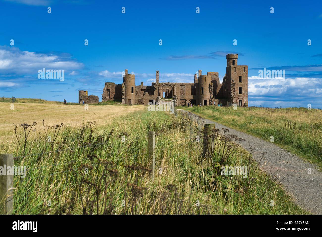 Slains castle flowers hi-res stock photography and images - Alamy