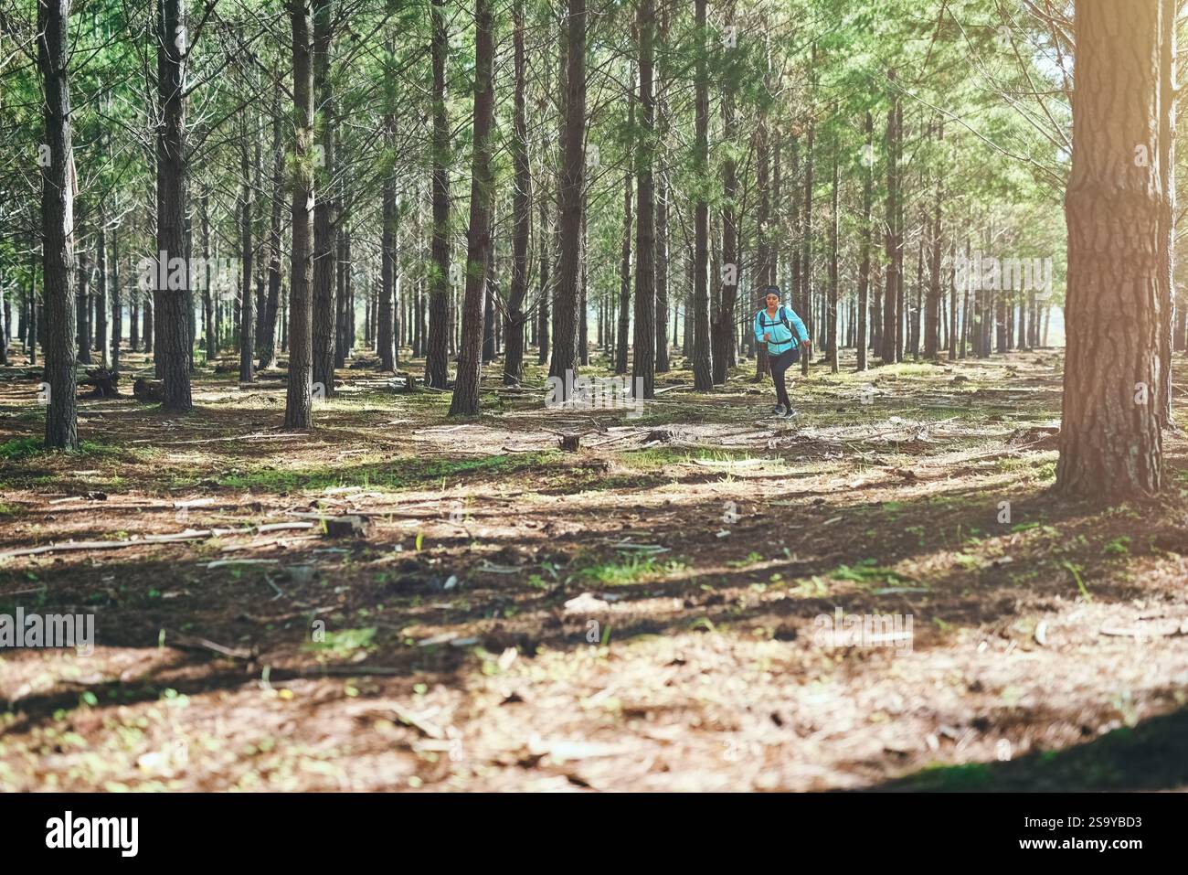 Fitness, running and woman in forest with challenge, trees and wellness ...