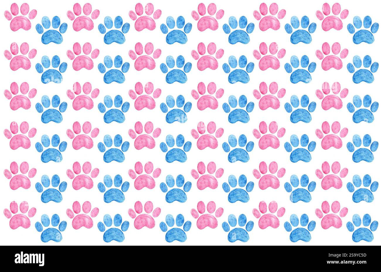 Pattern of pet paw footprints. Pink and blue color. Colors alternate ...