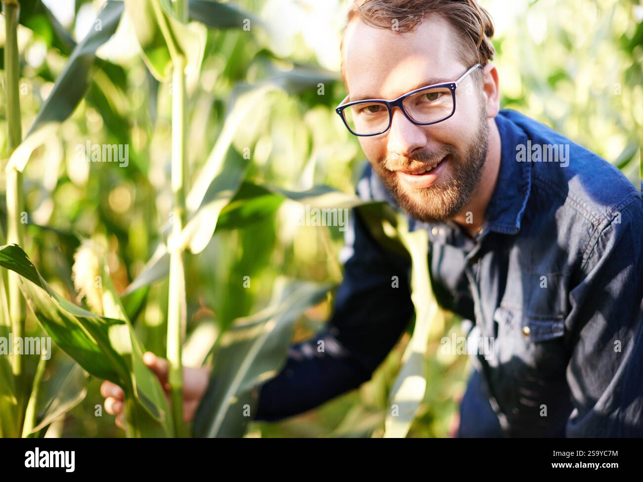 Corn field, farming and portrait of man with smile, natural food ...