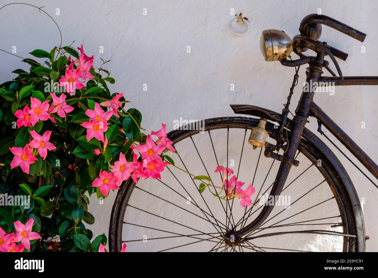 old bicycle, Museum of Ethnography of Eivissa, Can Ros - Puig de Missa ...