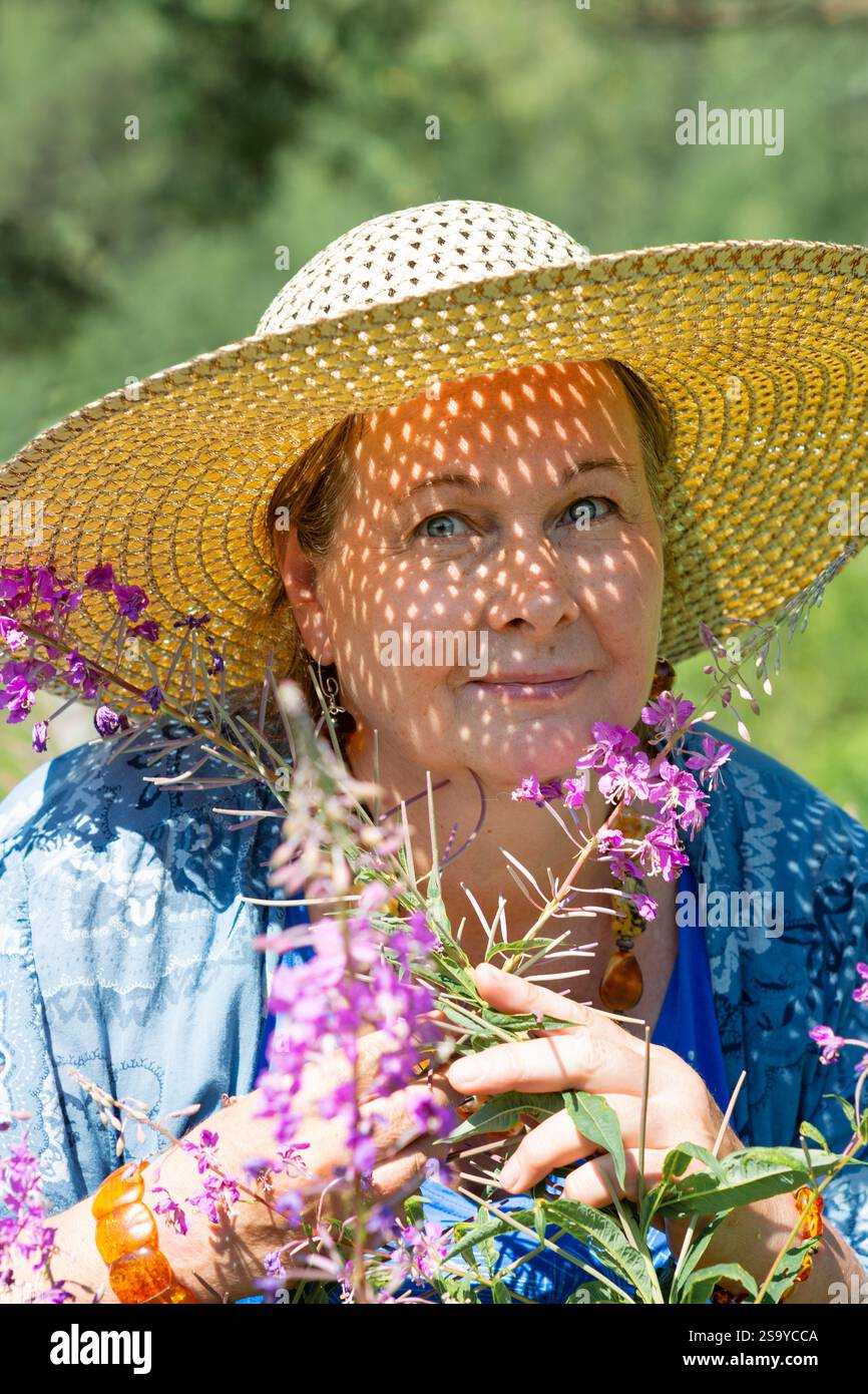An elderly woman in the field collects the leaves of Ivan-tea for fermentation. Portrait of a 60 ...