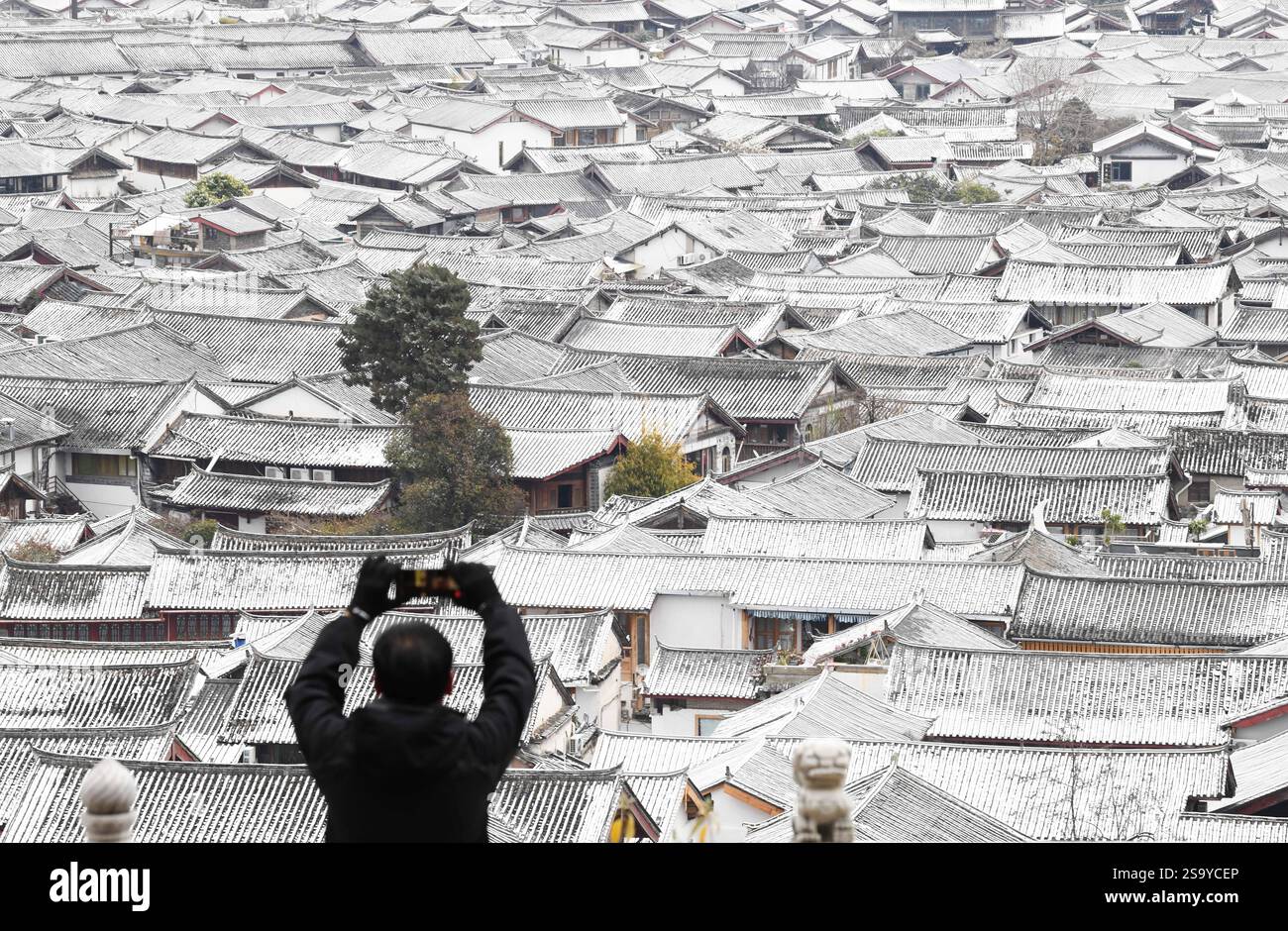 Beijing, China's Yunnan Province. 27th Jan, 2025. A visitor takes ...