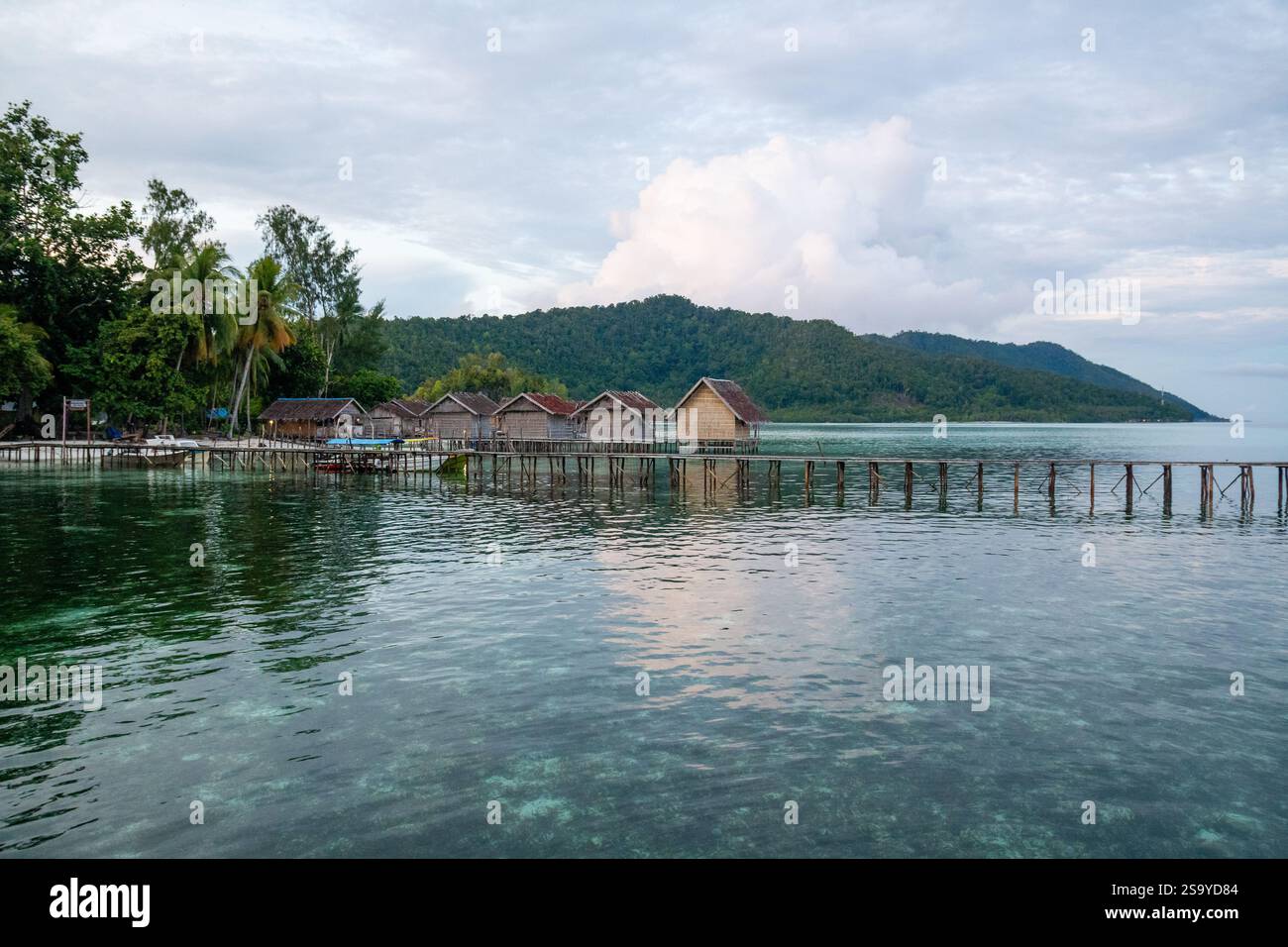 Stilted wooden huts line a tranquil bay, surrounded by lush greenery ...
