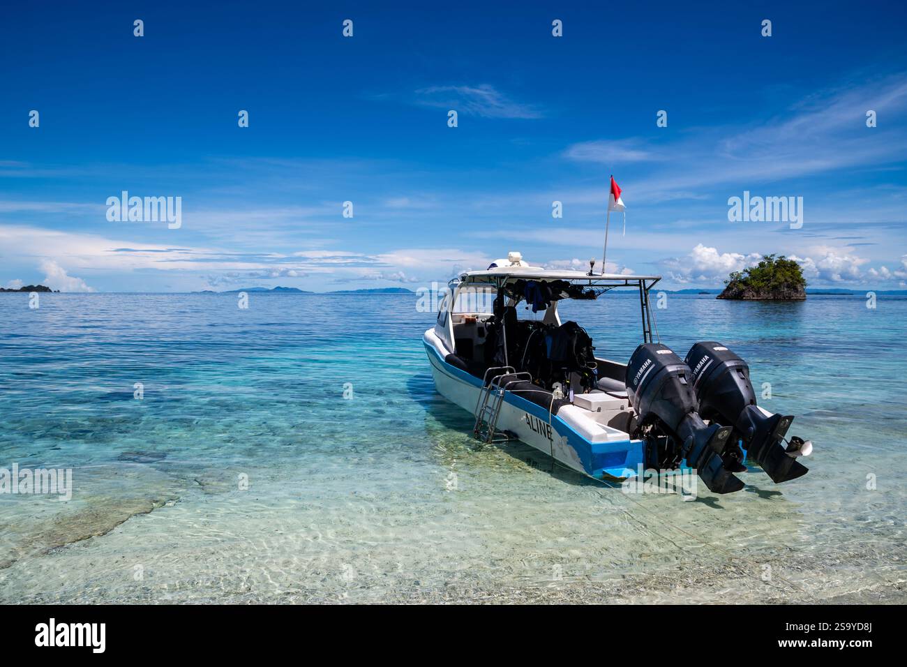 A white diving motorboat with twin engines and an Indonesian flag ...