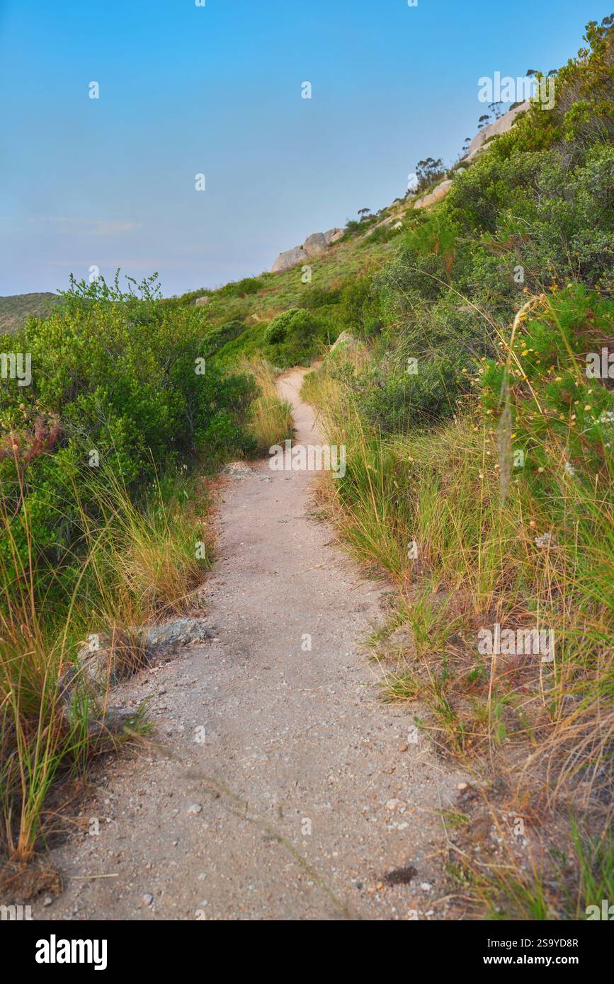 Plants, mountain and nature with trail for hiking, sustainability and ...