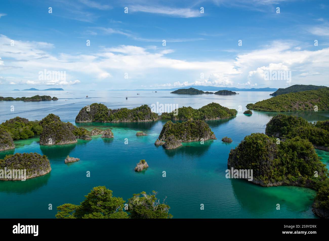 Aerial view of lush green Pianemo Islands in turquoise waters, with ...