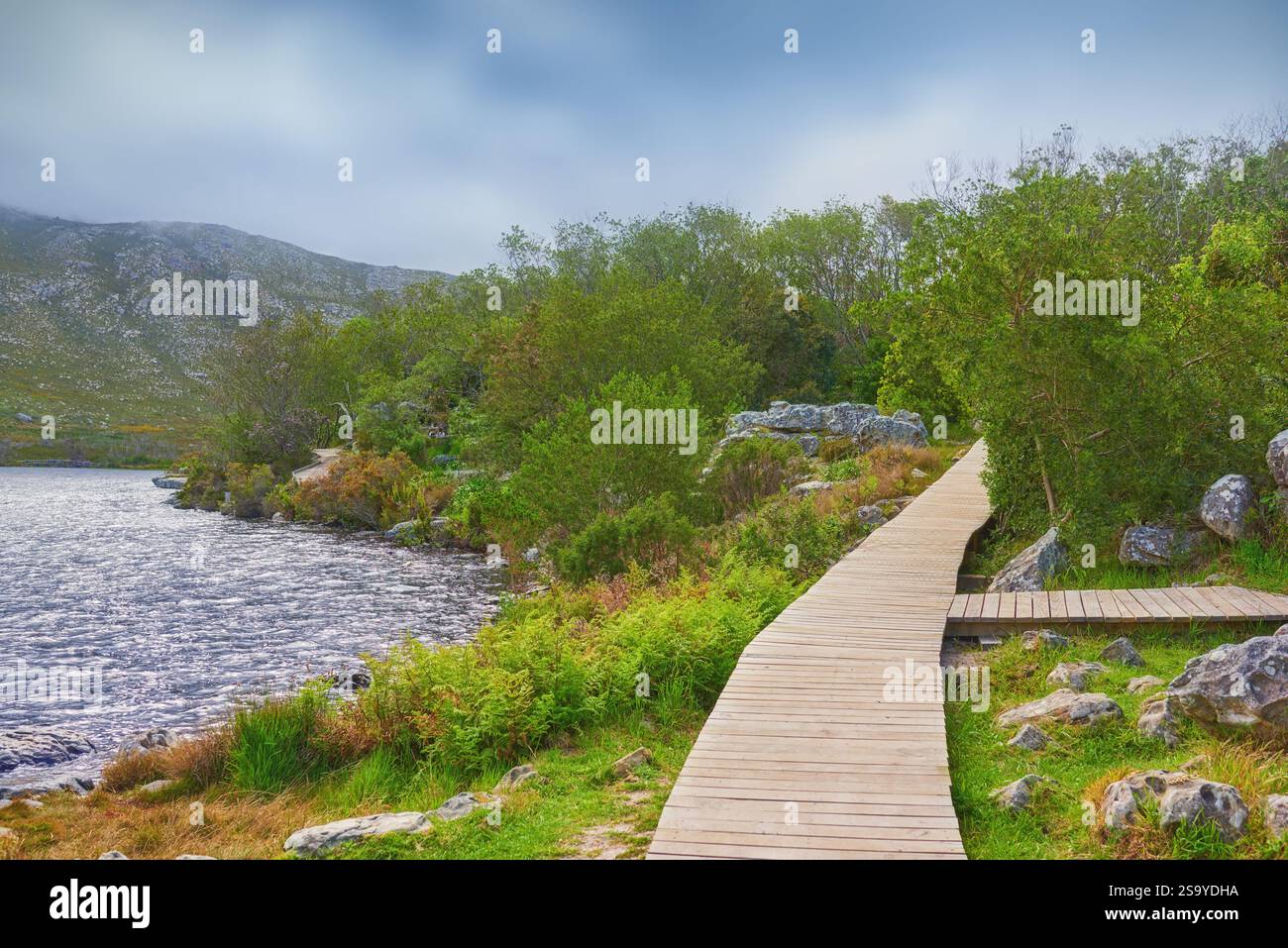 Landscape, path and lake with nature for growth, sustainability and ...