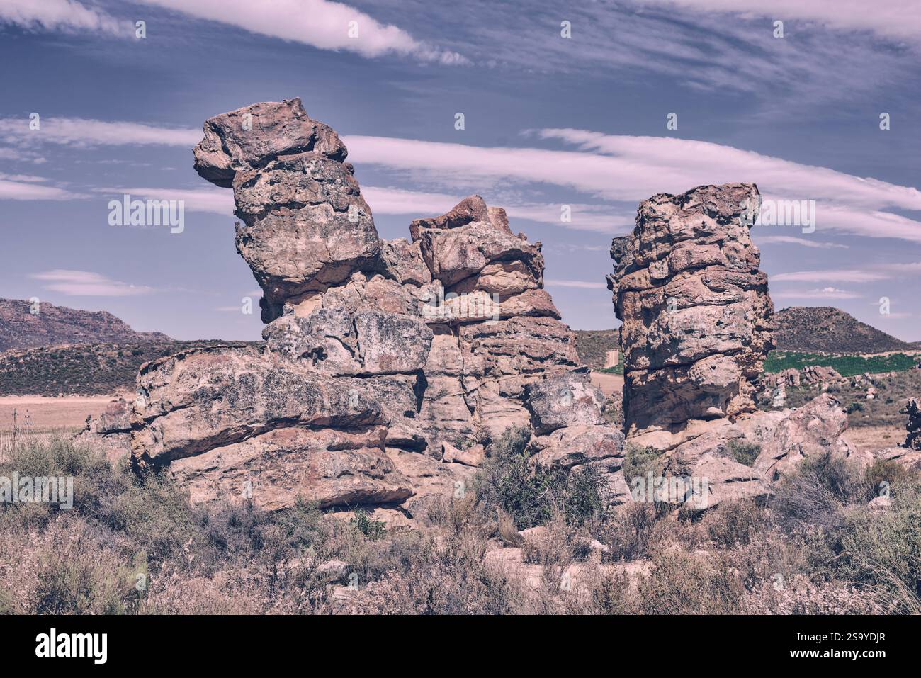 Outdoor, rocks and formation with plants in nature, sustainable ...