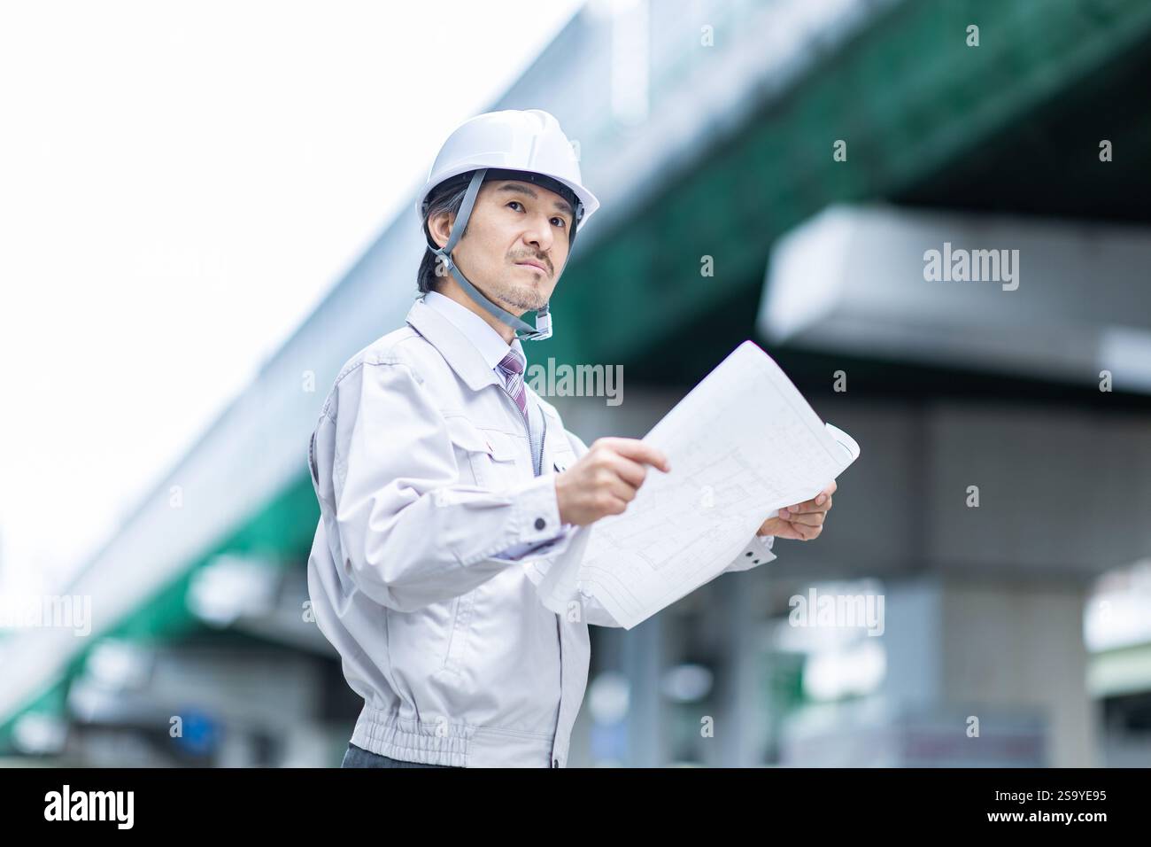Man looking at blueprints Stock Photo - Alamy