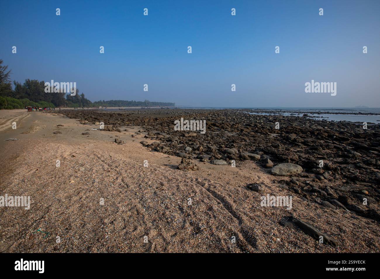 Coral stones scattered along the beach of Saint Martin's Island, the ...