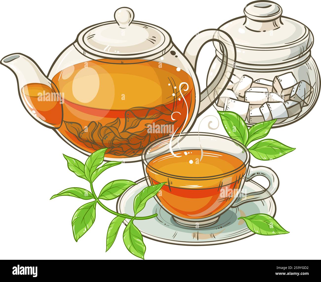 Tea Set Colored Detailed Illustration Stock Vector Image & Art - Alamy