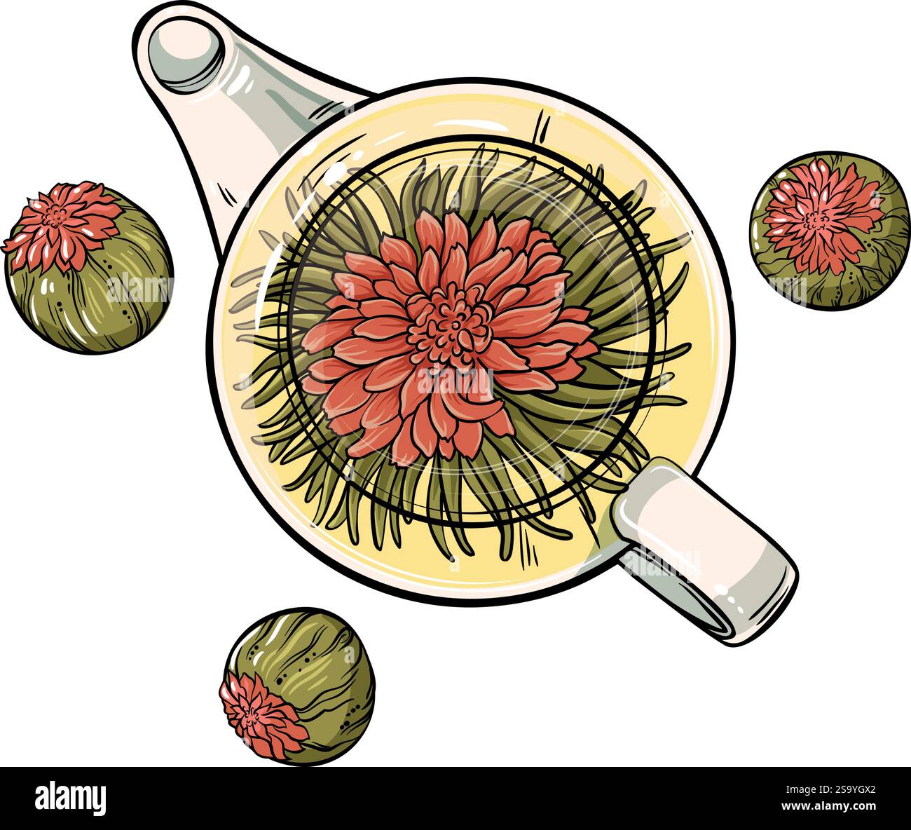 Flowering Tea Colored Detailed Illustration Stock Vector Image & Art ...