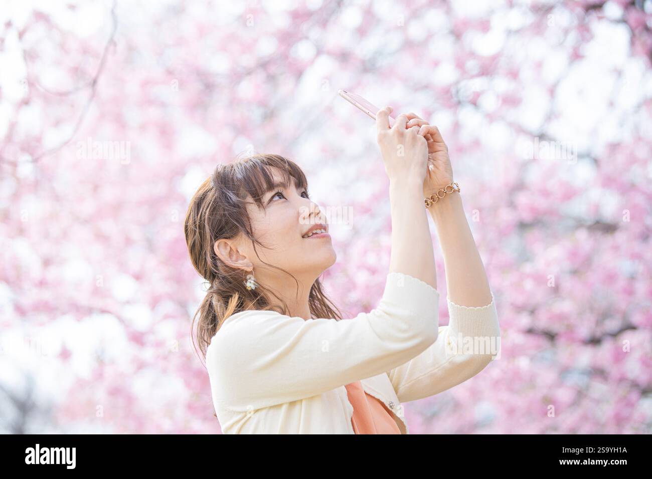 Woman taking a photo of cherry blossoms with a smartphone Stock Photo ...
