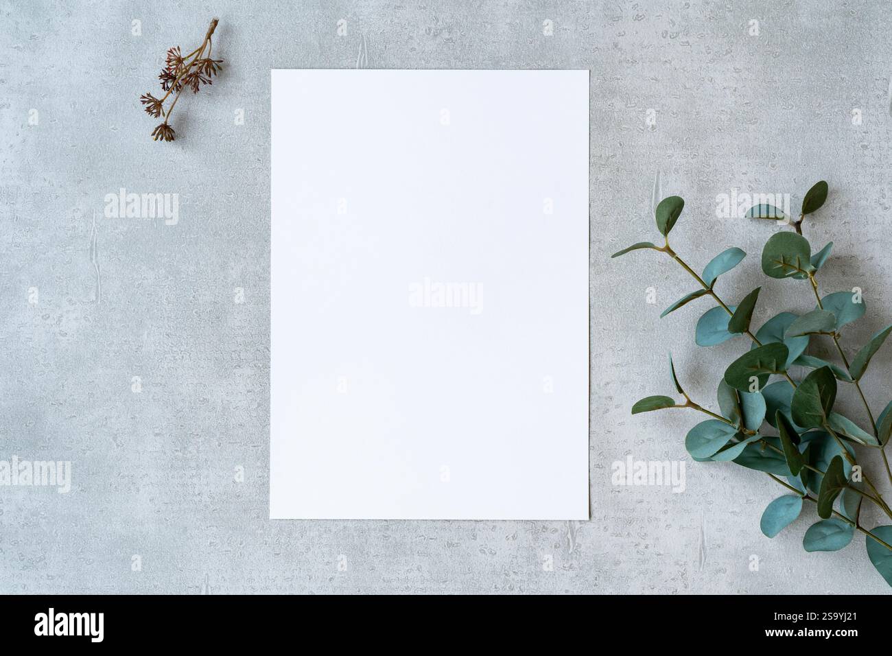 White paper placed on concrete flat surface Stock Photo - Alamy