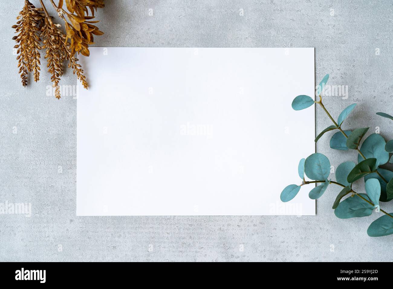 White paper placed on concrete flat surface Stock Photo - Alamy