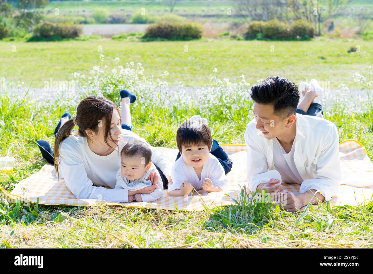 Family lying side by side in green area Stock Photo - Alamy